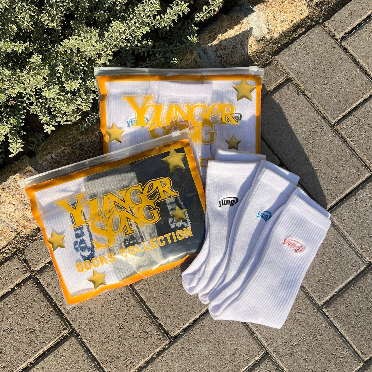 yung logo Assort袜子包 – YZ